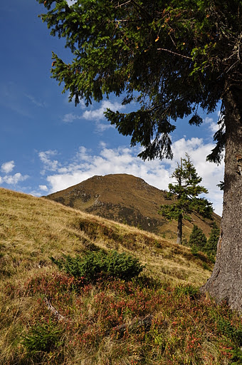 Karpatai'12 International Offroad Expedition - Expeditii - Forum Club4x4